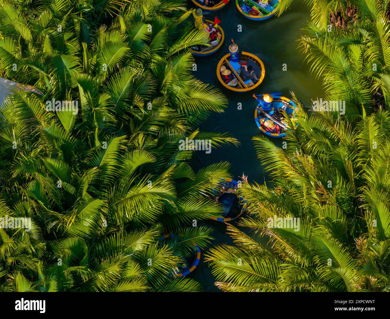 Aerial view of a coconut village basket boat tour. Palms forest in Hoi ...