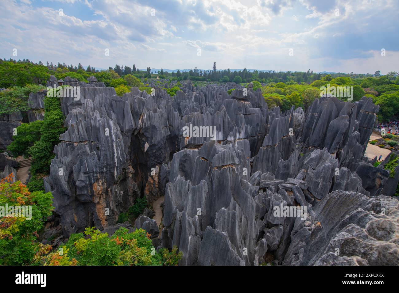 Stone Forest or Shilin is a set of limestone formation located in ...