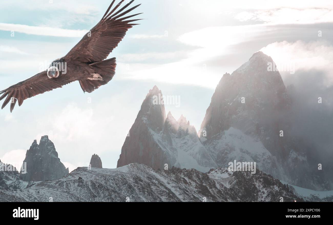 Andean Condor flying over Cerro Torre peak, Patagonia, Argentina Stock ...
