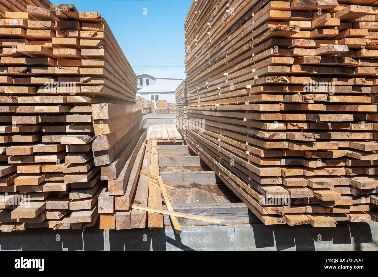 Stacked wooden planks close-up at lumber warehouse. Wood industry ...