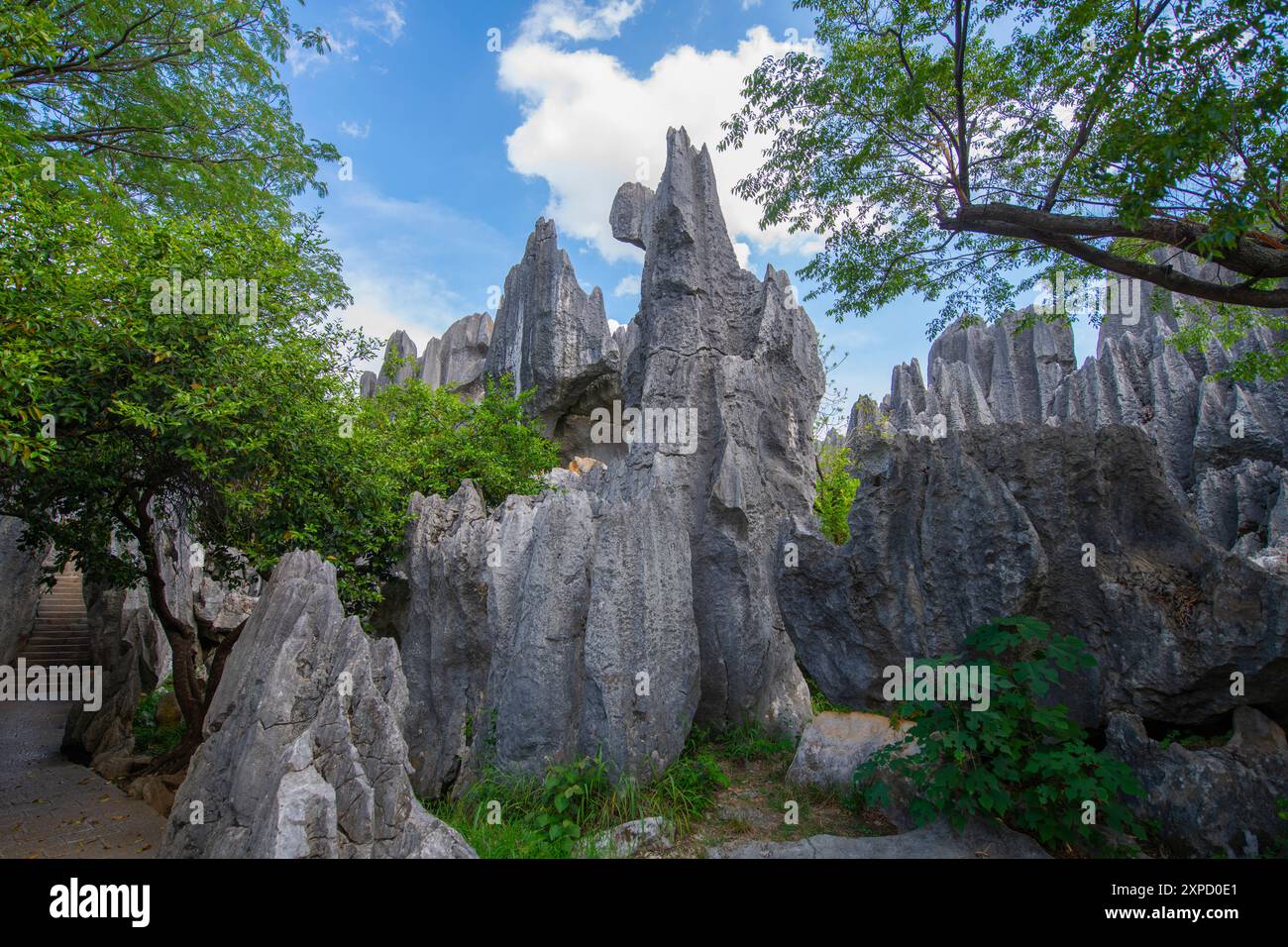 Stone Forest or Shilin is a set of limestone formation located in ...
