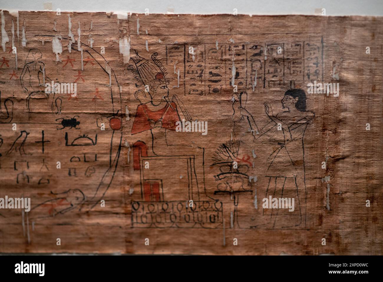 cyperus papyrus, book of the imy duat of djedkhnouse-iuefankh 1076-943 ...