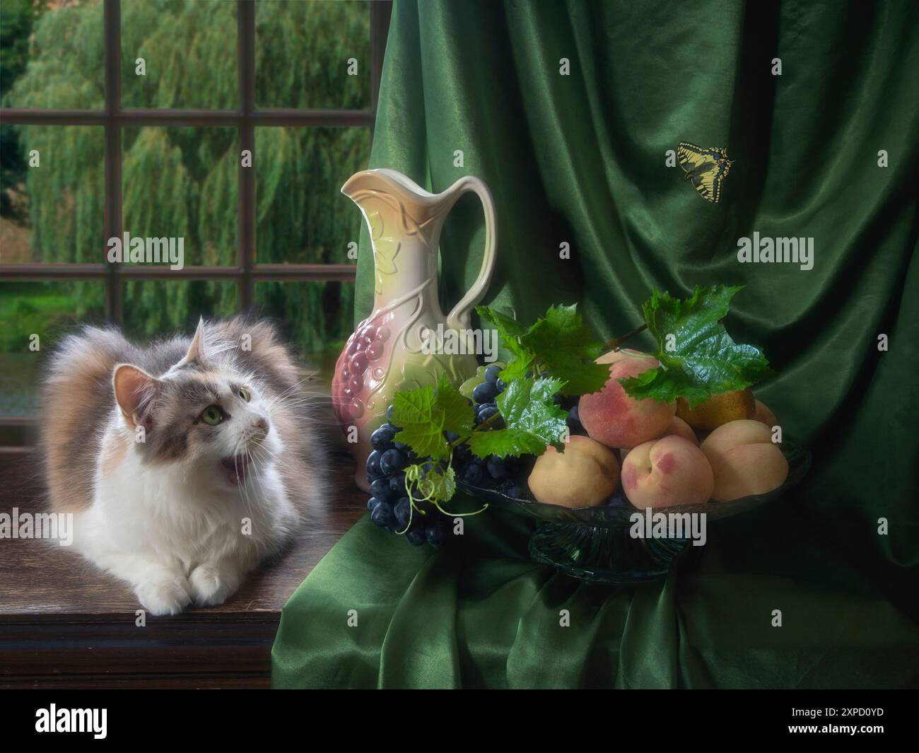 Still life with fruits and funny cat Stock Photo - Alamy