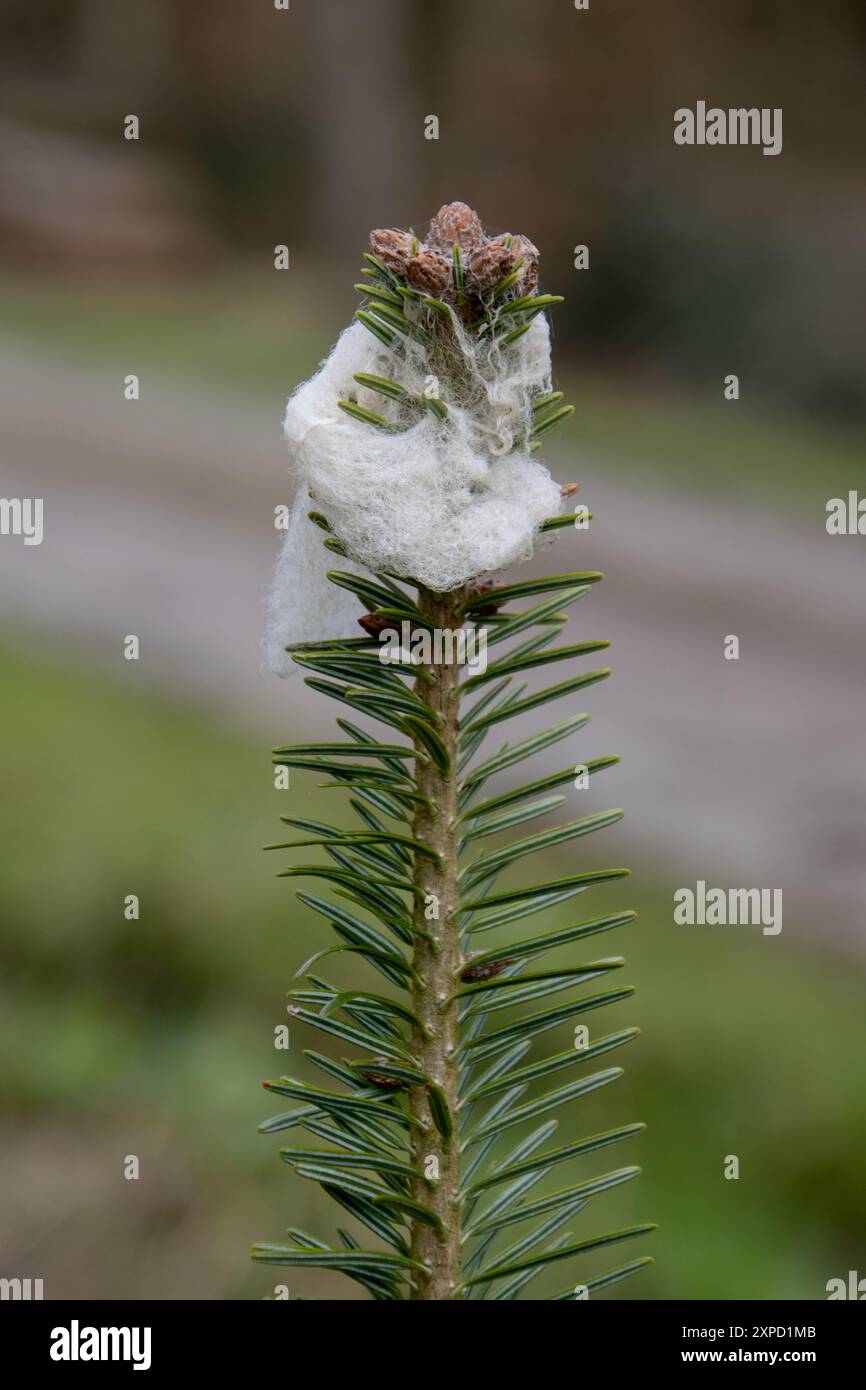 Bite care hi-res stock photography and images - Alamy