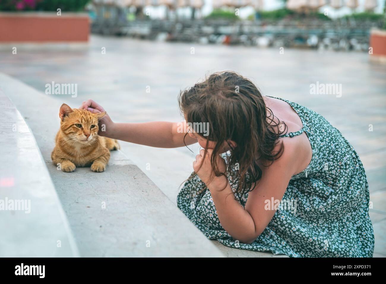Cute teen girl strokes a homeless ginger cat on the street Stock Photo ...