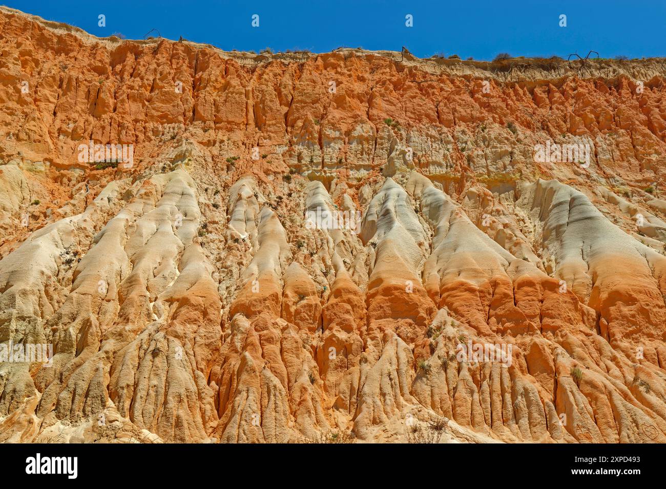 Praia falesia portugal hi-res stock photography and images - Alamy