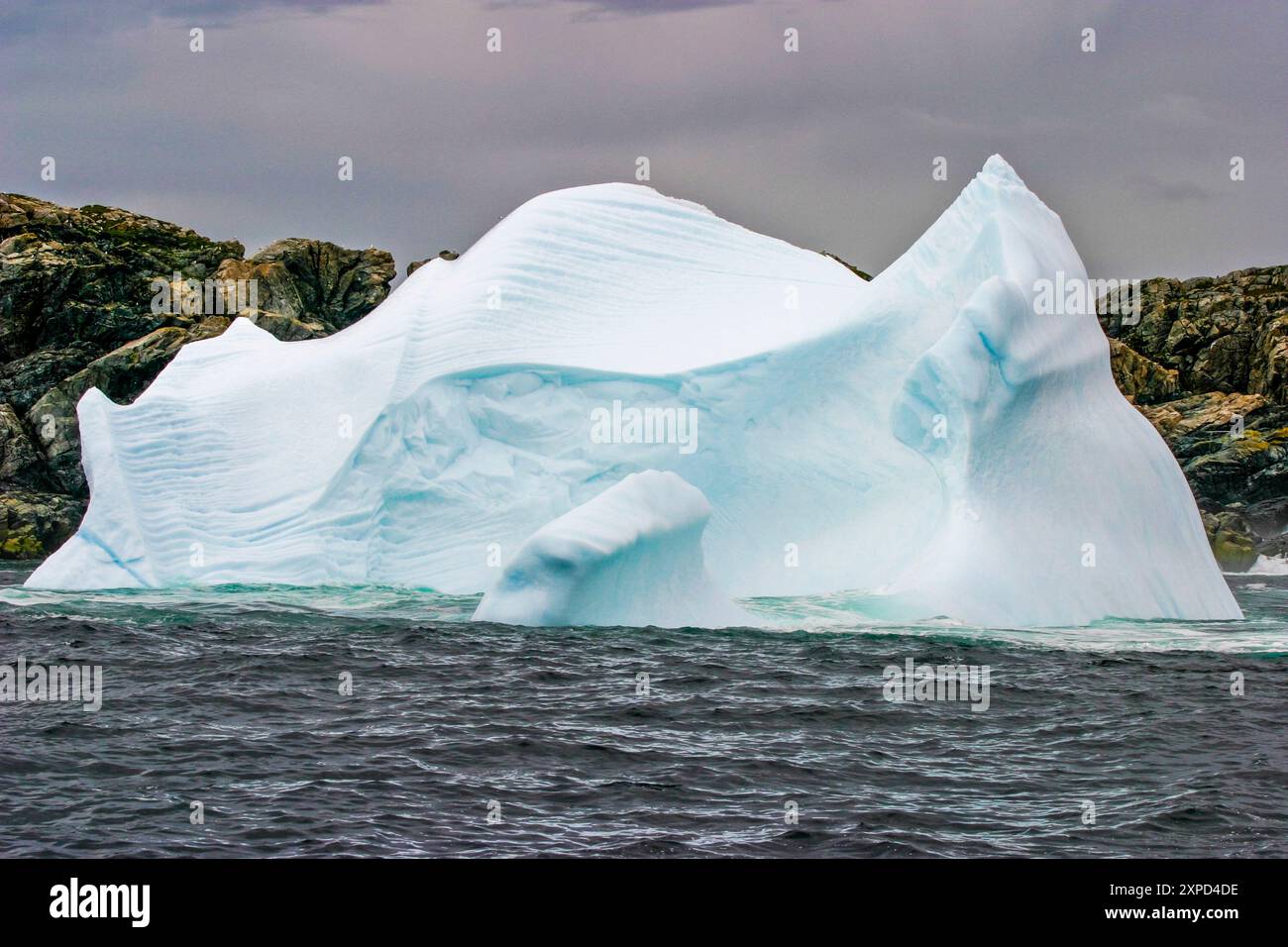 Iceberg near Twillingate Newfoundland grounded against rocks and shore ...