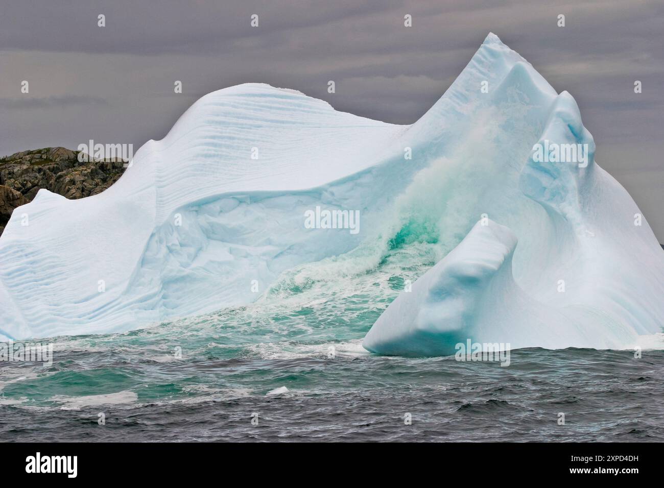 Floating icebergs near twillingate hi-res stock photography and images ...