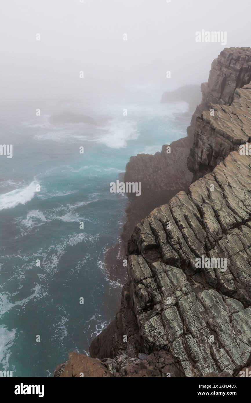 Rocks and Ocean, Mistaken Point, Unesco World Heritage site ...