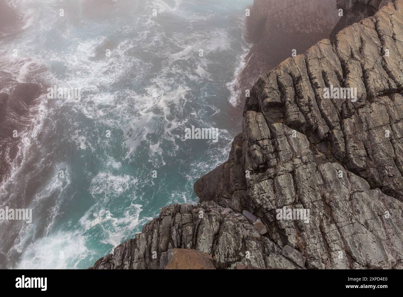 Rocks and Ocean, Mistaken Point, Unesco World Heritage site ...
