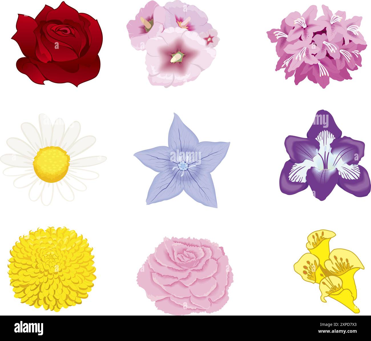 Set isolated dahlia in hi-res stock photography and images - Alamy