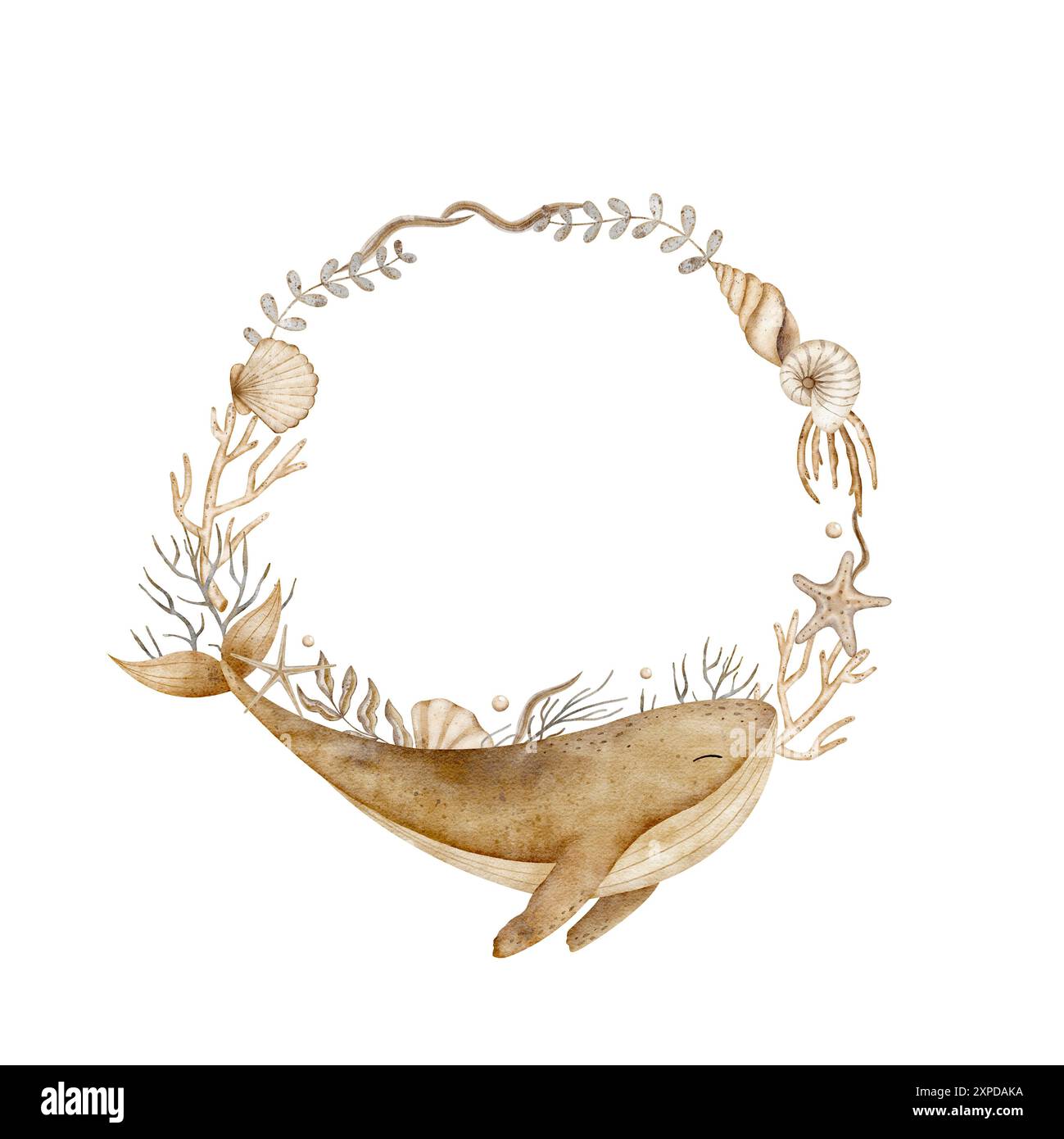 Wreath of whale, shells, seaweed and coral. Watercolor illustration on ...