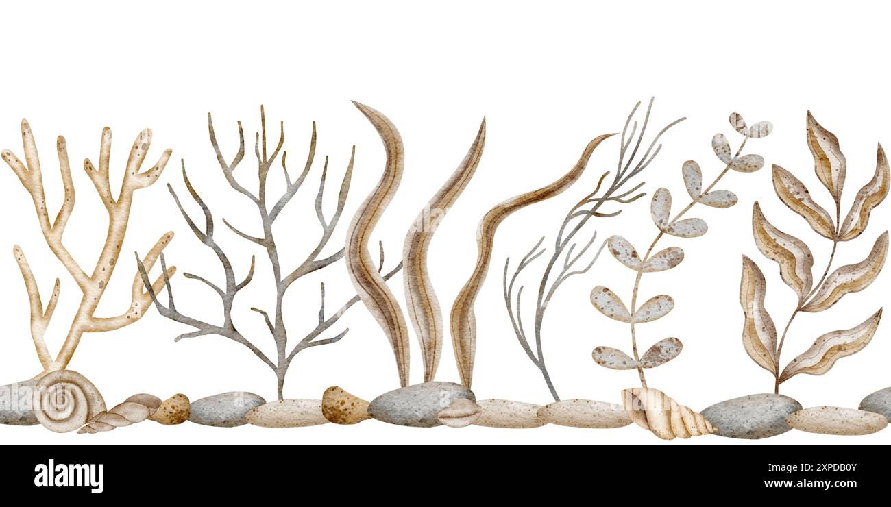 Watercolor underwater seamless border with corals, algae. Illustration ...