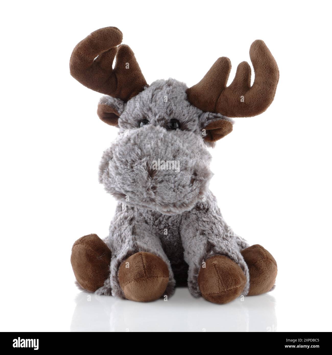 Baby moose cute soft toy Stock Photo - Alamy