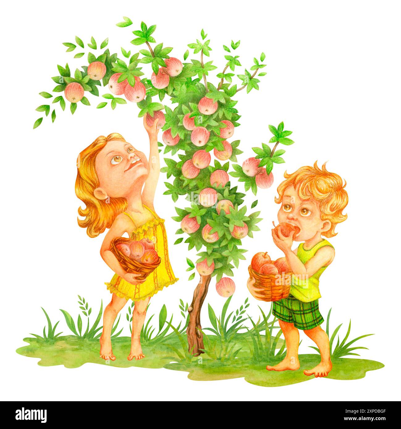 Happy little boy and girl picking apples. Watercolor garden clipart ...