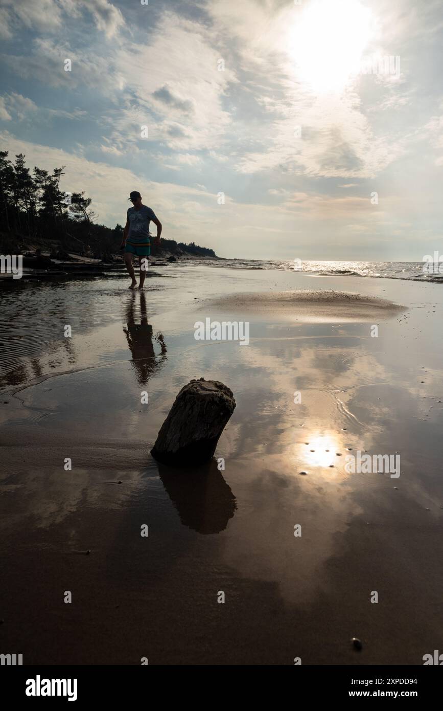 Man wading through water watching the remains of the old oak forest and ...
