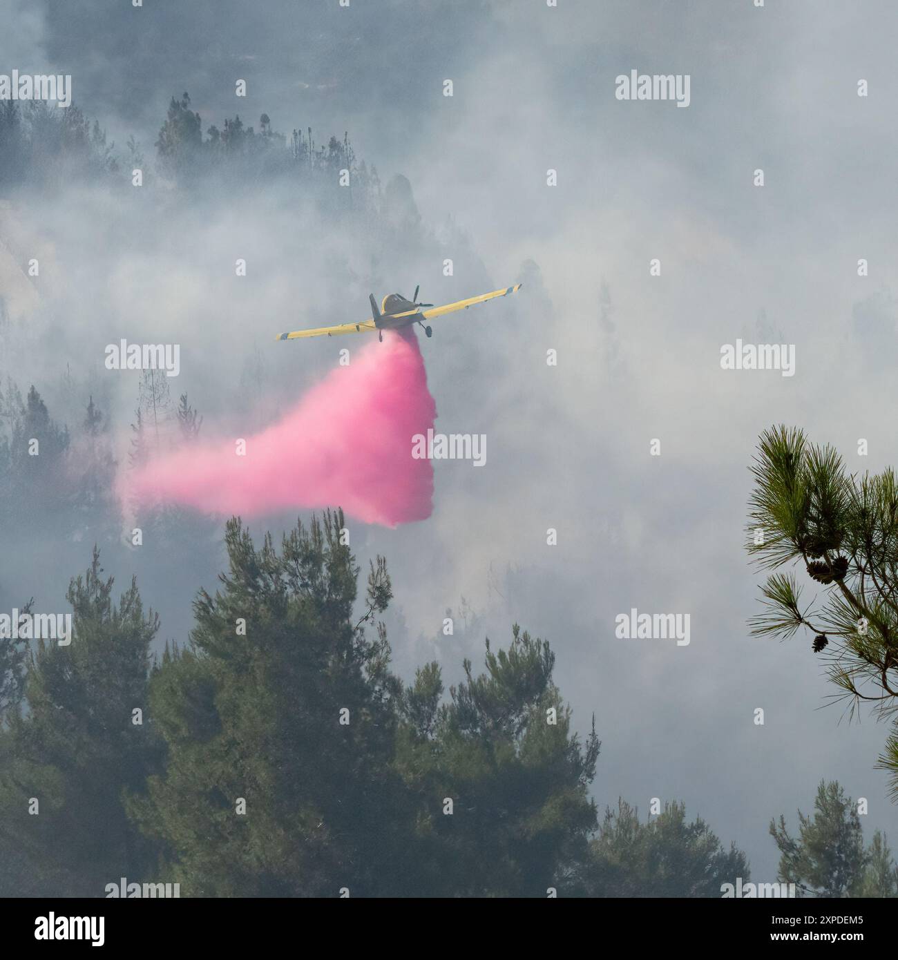 A firefighting airplane flying through smoke, dumping fire retardant ...