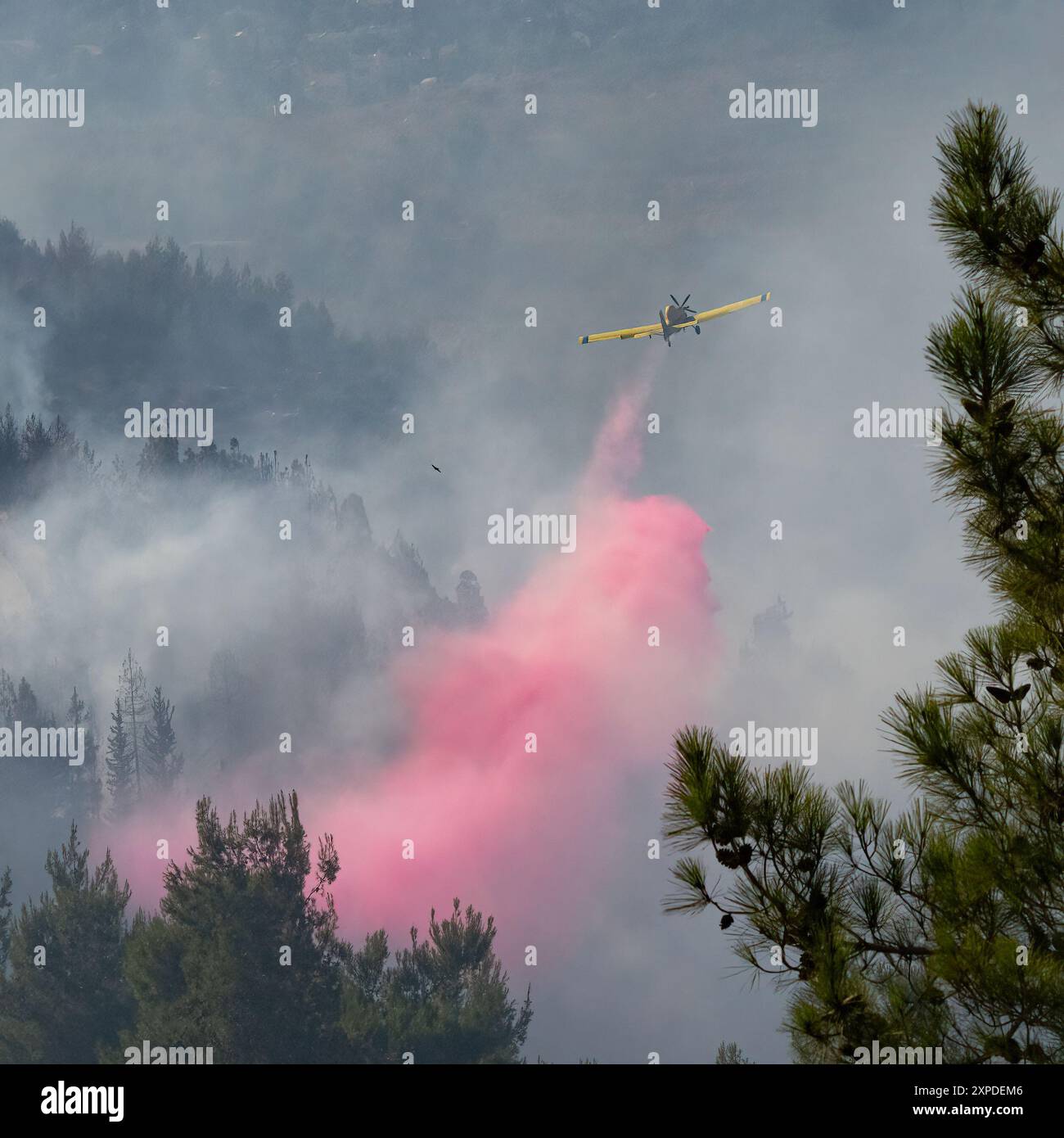 A firefighting airplane flying through smoke, dumping fire retardant ...
