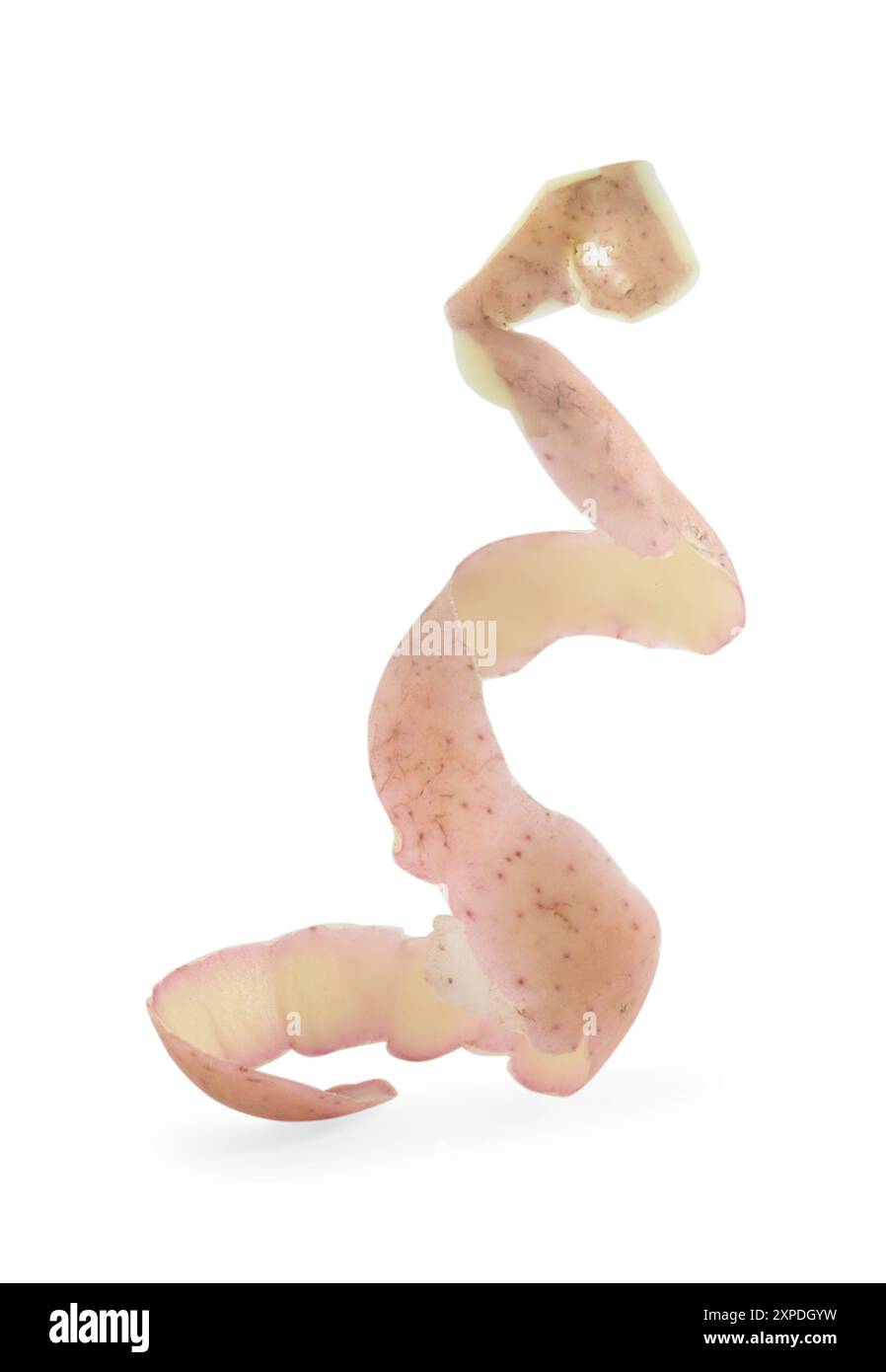 Potato peel isolated on white. Food waste Stock Photo - Alamy
