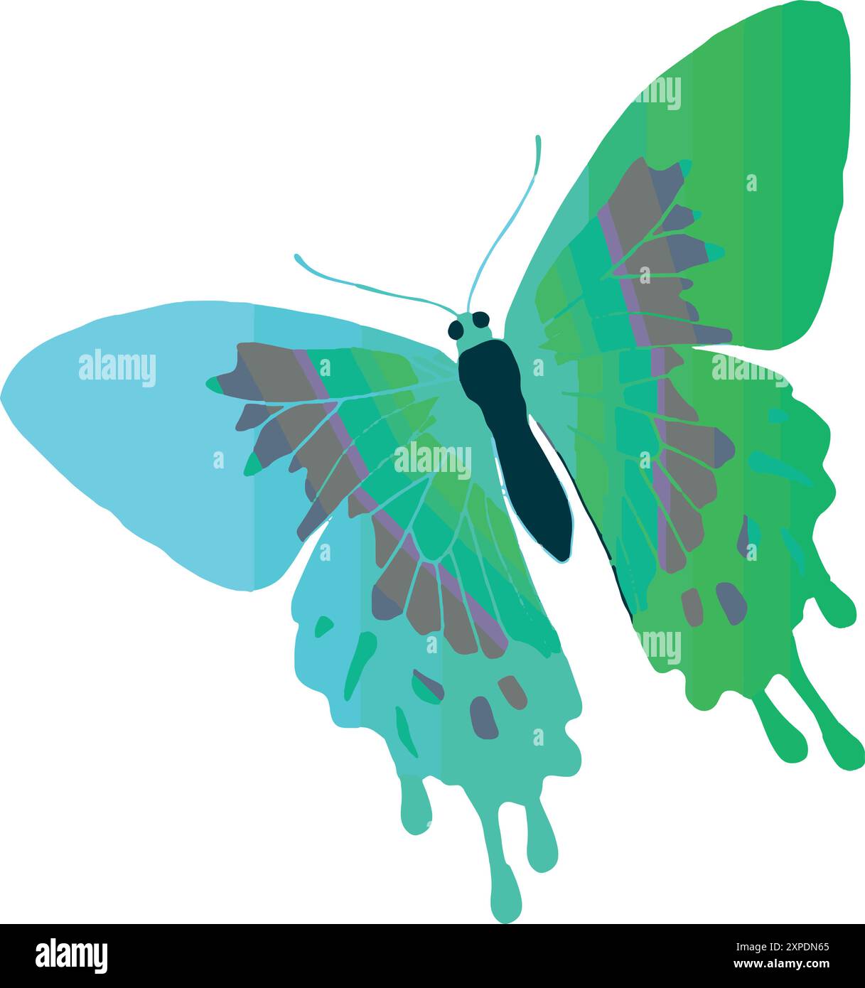 Colorful Butterfly Vector Art Illustration Stock Vector Image & Art - Alamy