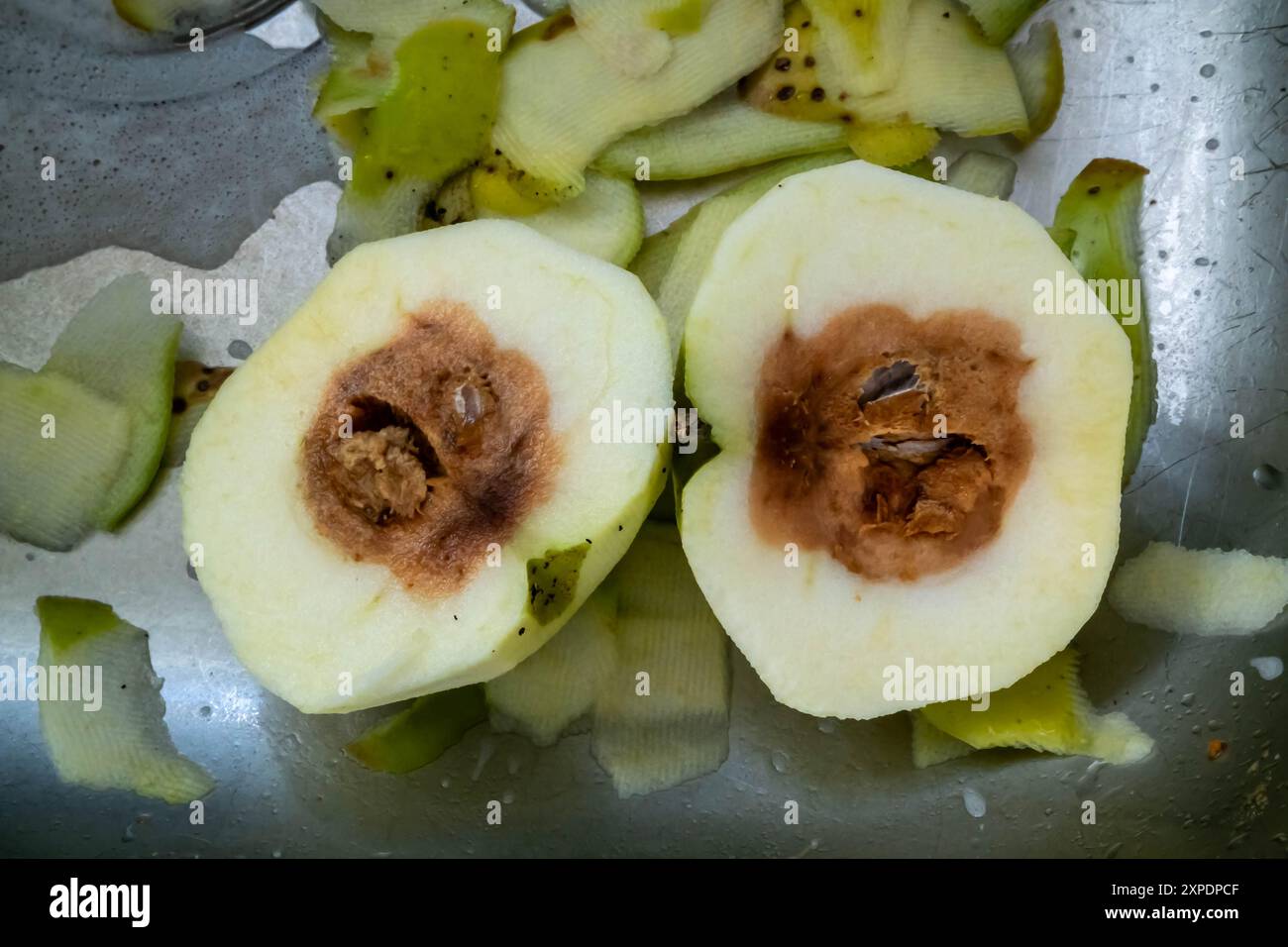 Rotten apple looking very good from outside but it is rotten from the ...