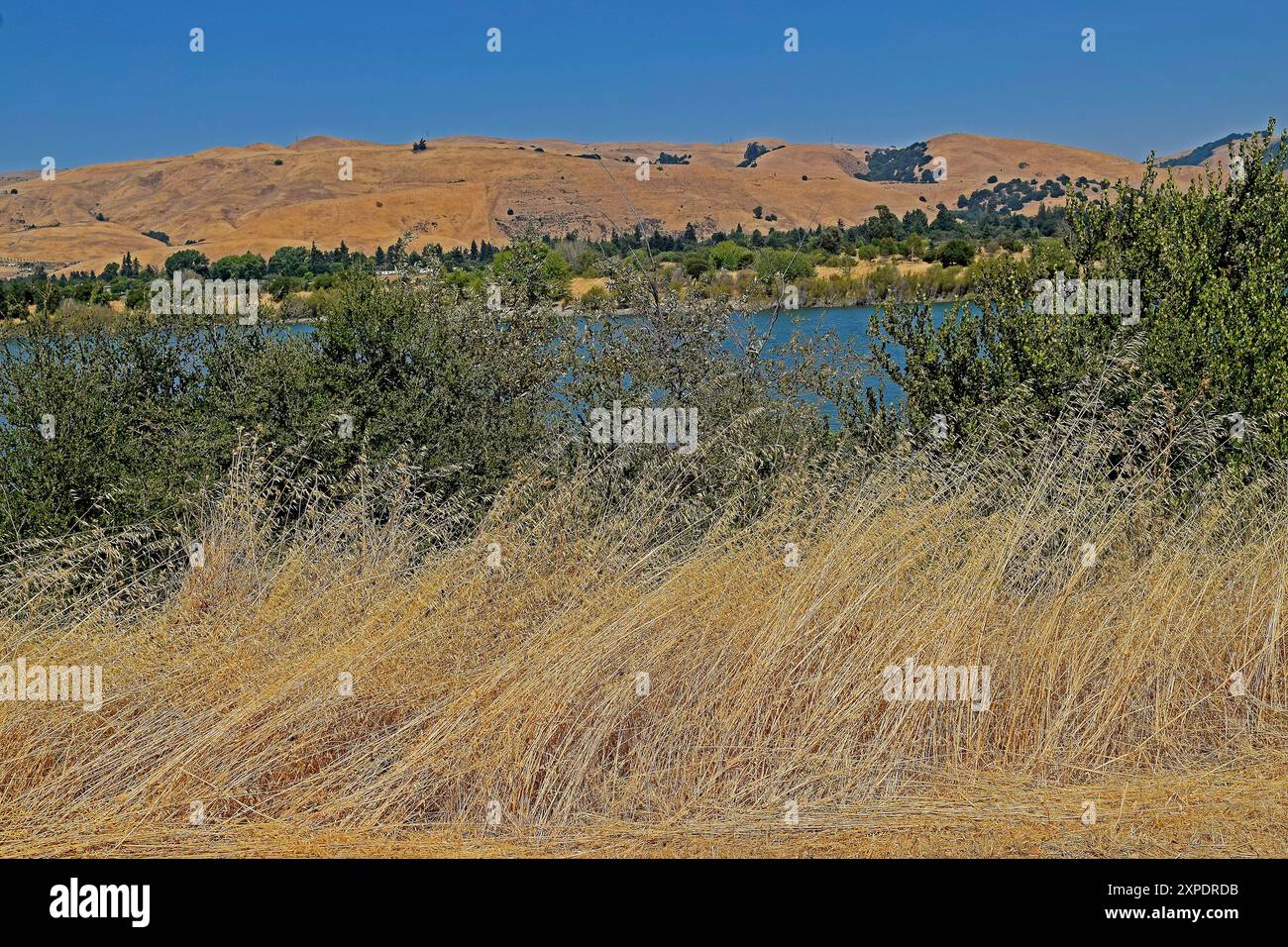 Quarry lake east bay recreation area hi-res stock photography and ...