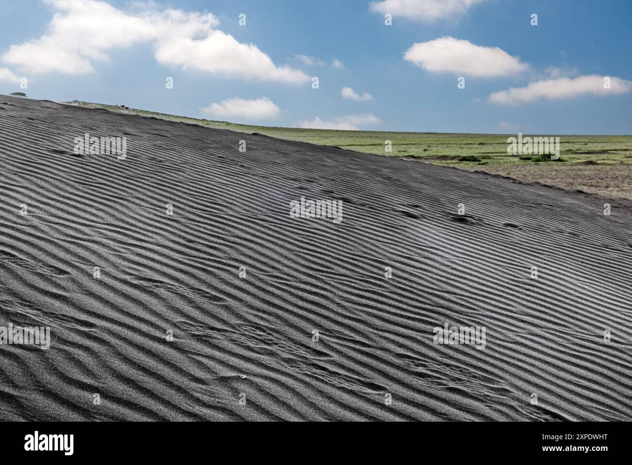 Shifting Sands, highly magnetic volcanic ash, eastern Serengeti Plain ...