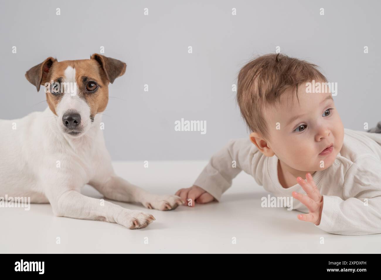 Cute baby boy and Jack Russell terrier dog lying in an embrace on a ...