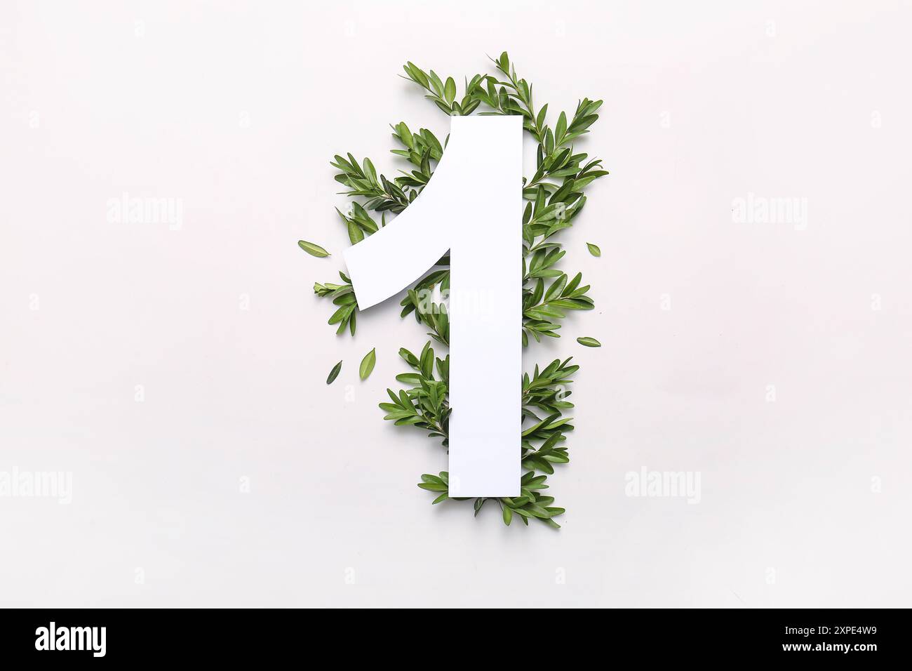 Boxwood leaves with paper number one on white background. Top view ...