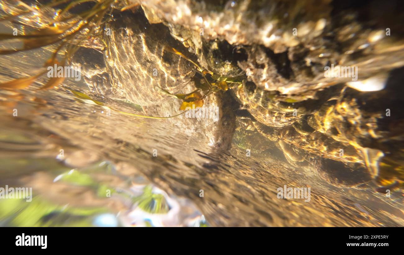 underwater image of a small mountain river Stock Photo - Alamy