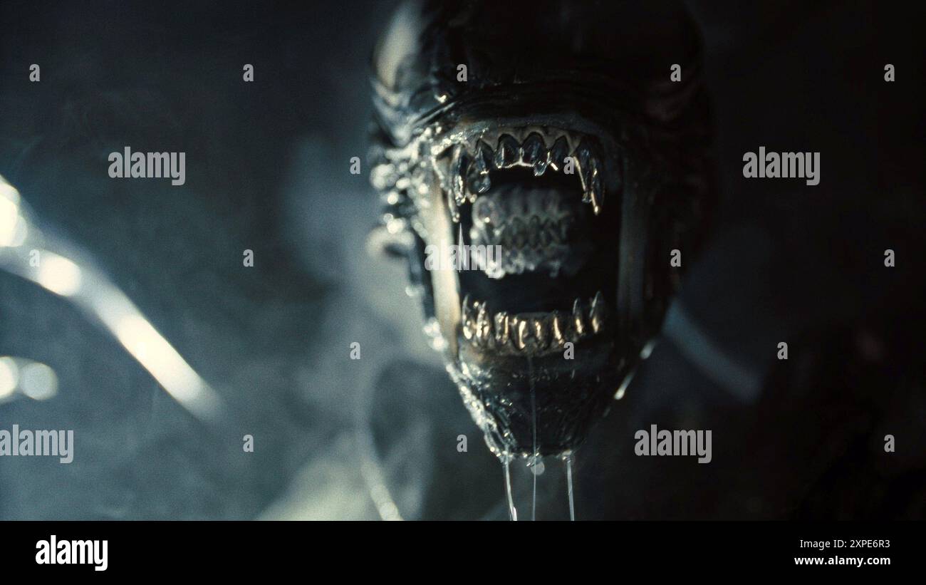 ALIEN: ROMULUS, 2024. © Walt Disney Studios Motion Pictures /Courtesy ...