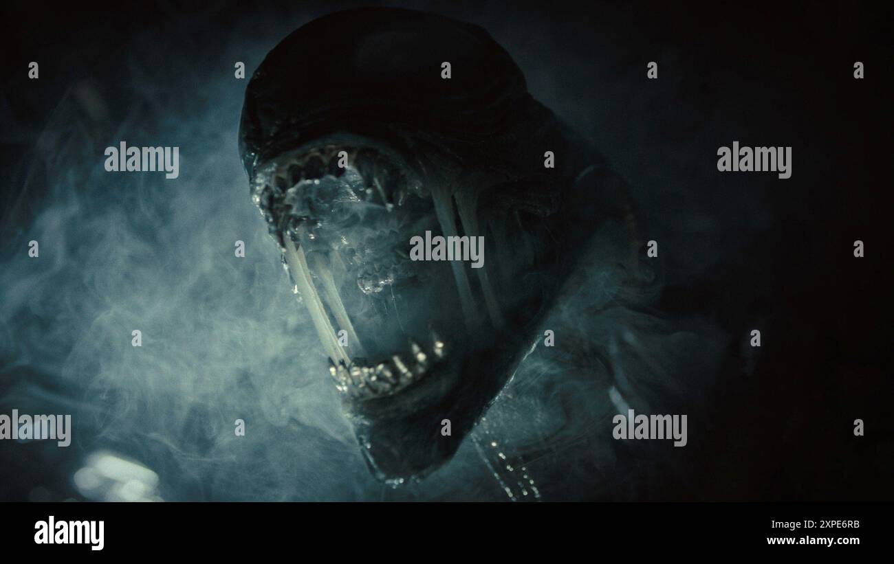 ALIEN: ROMULUS, 2024. © 20th Century Studios / courtesy Everett ...