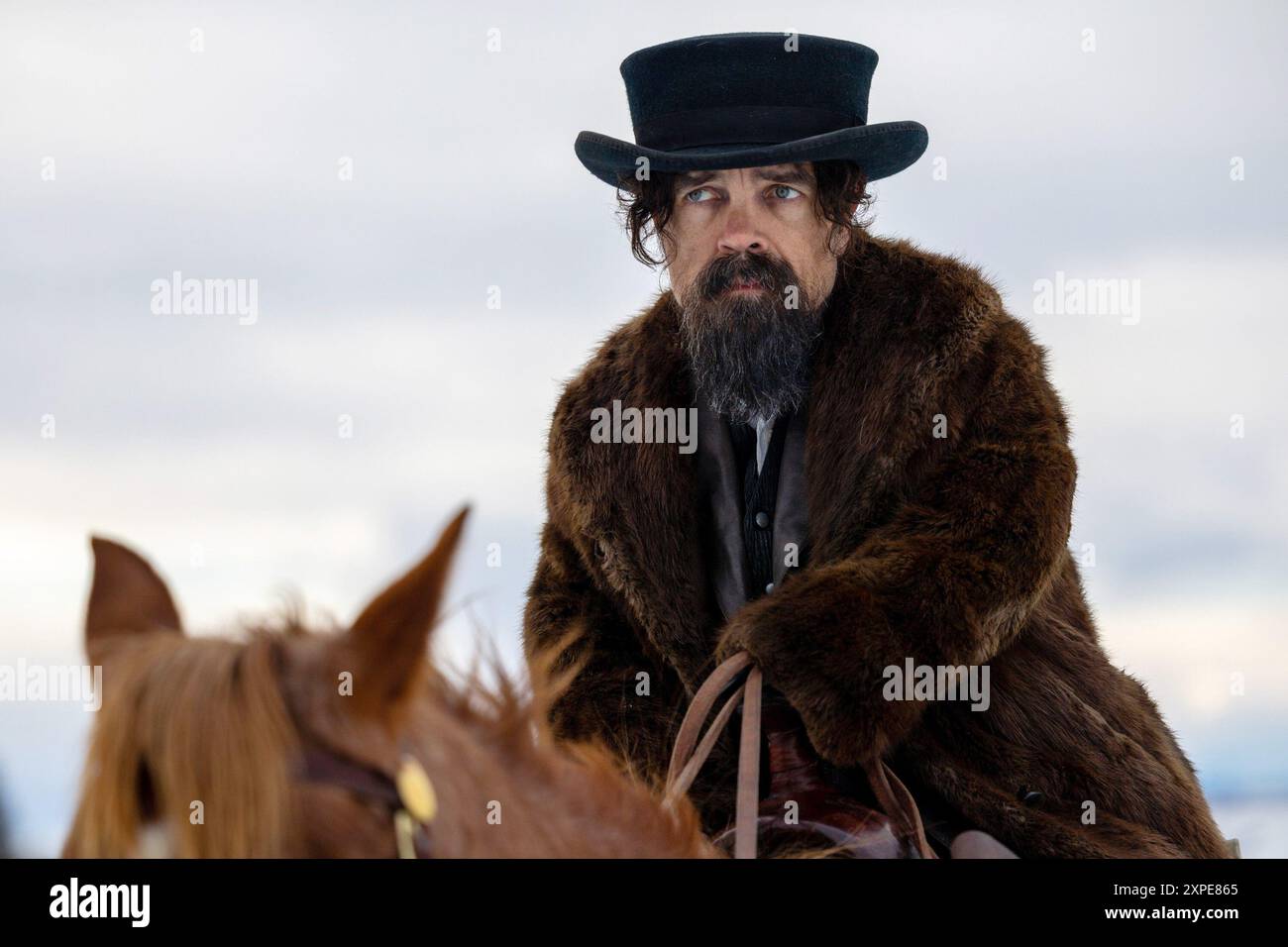 THE THICKET, Peter Dinklage, 2024. ph: David T. Brown /© Samuel Goldwyn ...