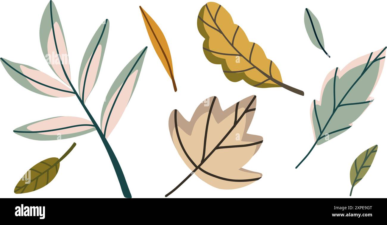 Autumn leaves of different colors and shapes. Set of vector ...