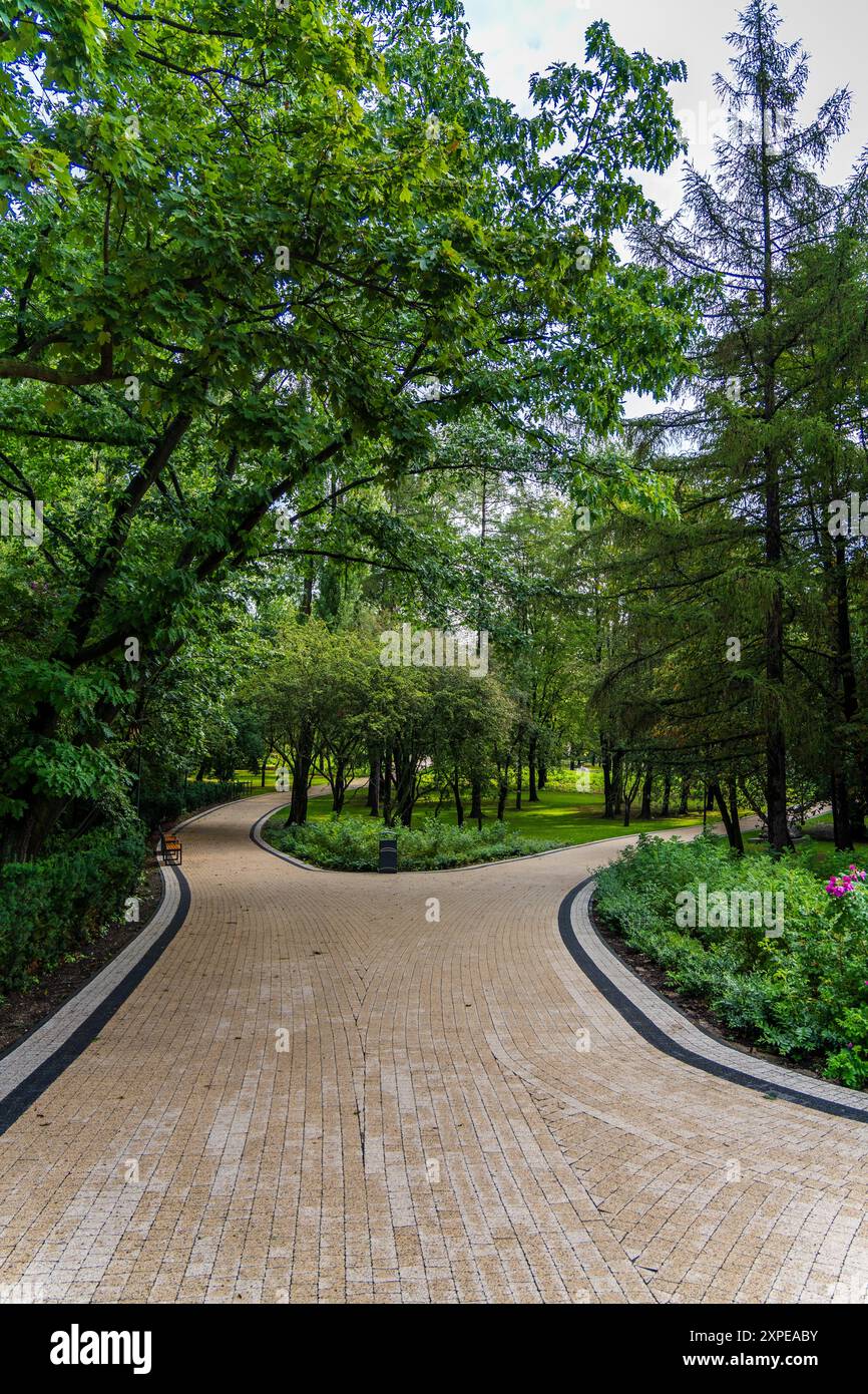 Scenic Curved Pathway Through Lush Green Forest During Morning Hours ...