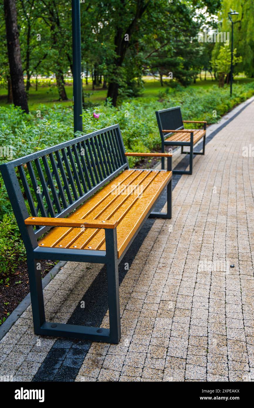 Wooden Benches on a Paved Pathway in a Lush Green Park During Daylight ...