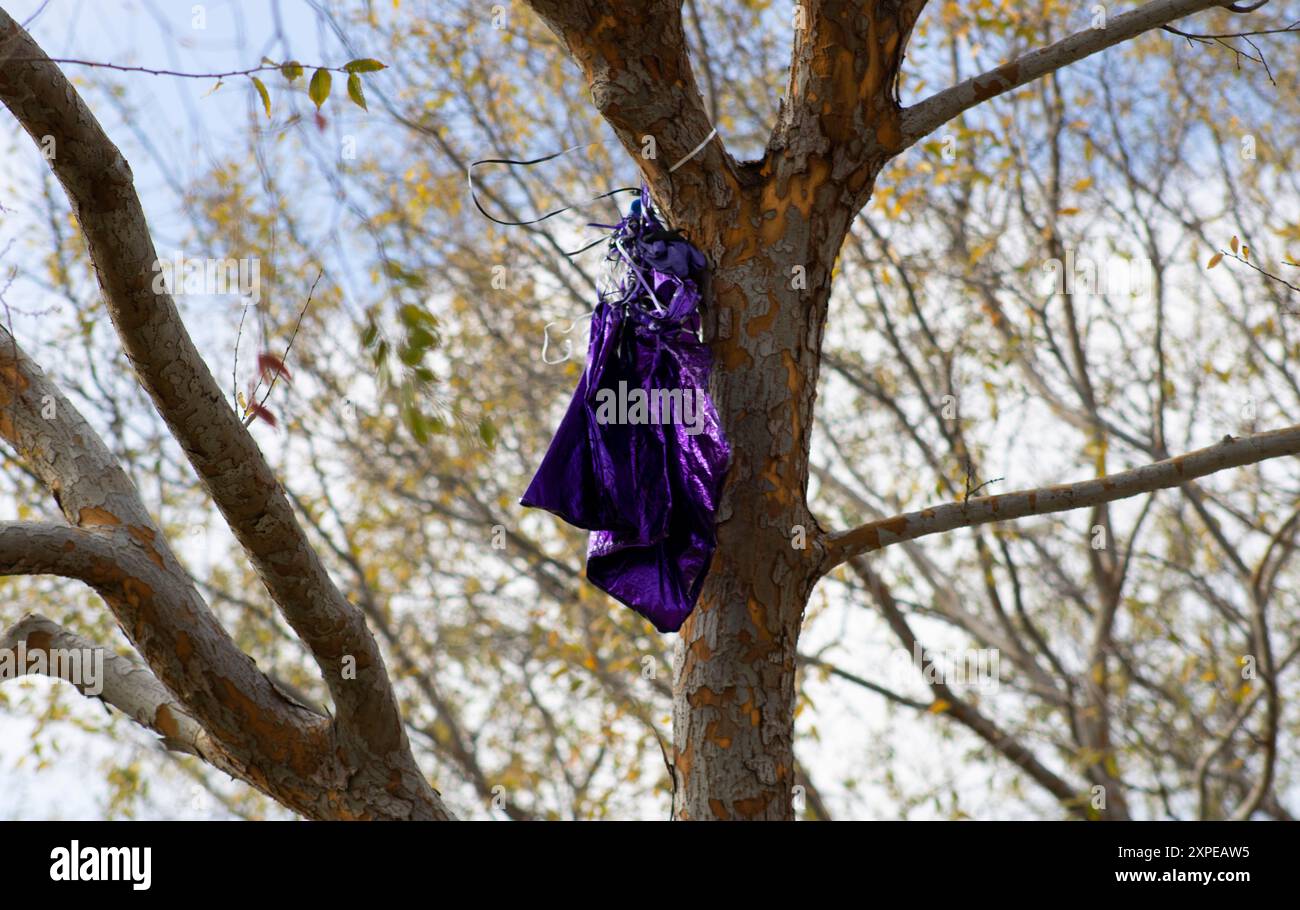 After party mess hi-res stock photography and images - Alamy