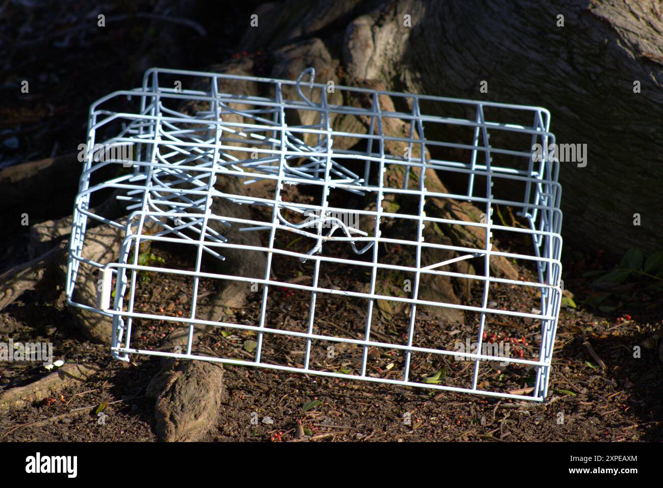 white wire basket near tree trunk Stock Photo - Alamy