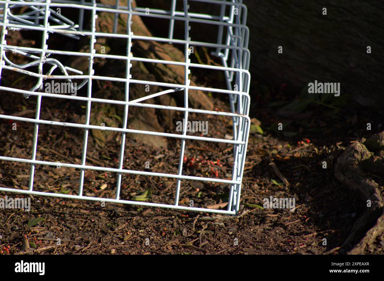 Wire bike basket hi-res stock photography and images - Alamy