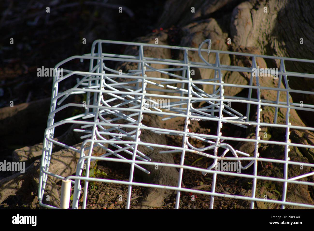 white wire basket near tree trunk Stock Photo - Alamy