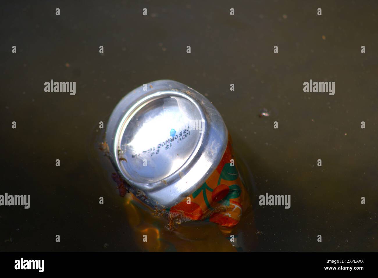 tin soda can floating in dirty water Stock Photo - Alamy