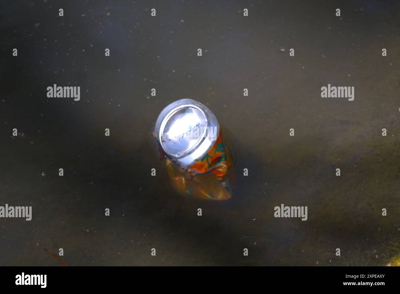 tin soda can floating in dirty water Stock Photo - Alamy