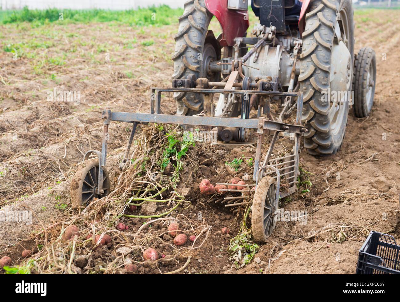 Potato digging machine hi-res stock photography and images - Alamy