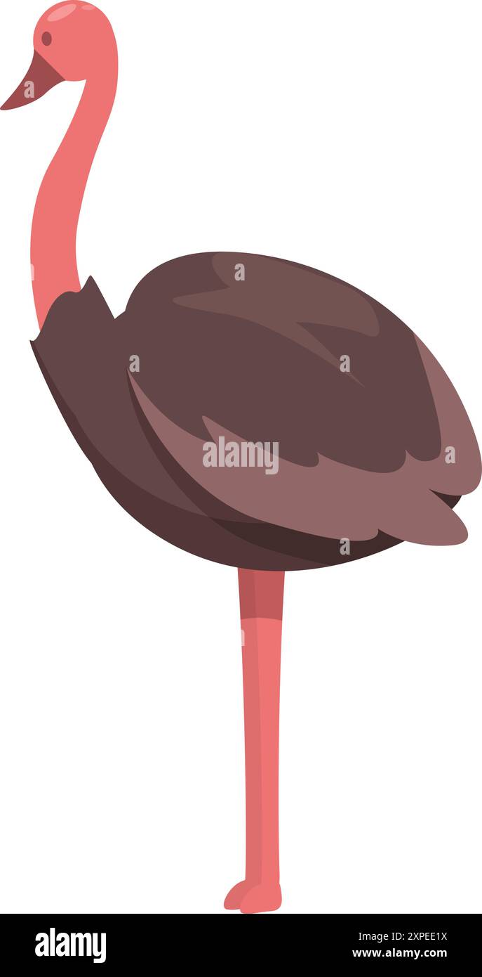 Cartoon ostrich with long pink legs and neck standing still Stock ...