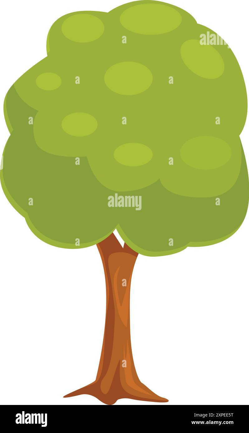 Deciduous tall tree Stock Vector Images - Alamy