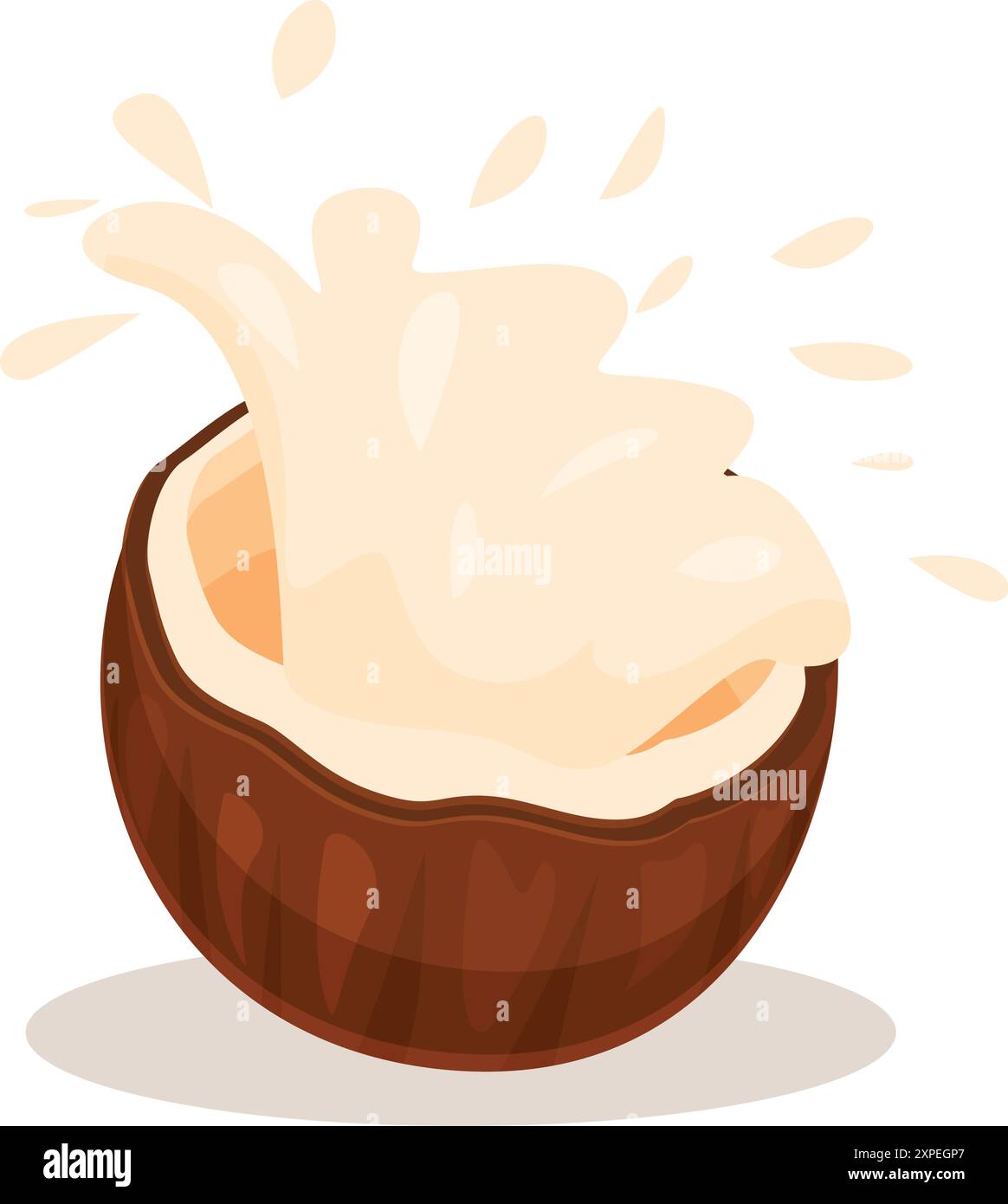 Coconut milk splashing out of a cracked coconut shell Stock Vector ...