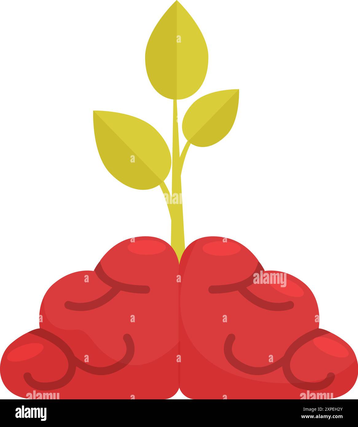 Young plant is growing from a brain hi-res stock photography and images ...