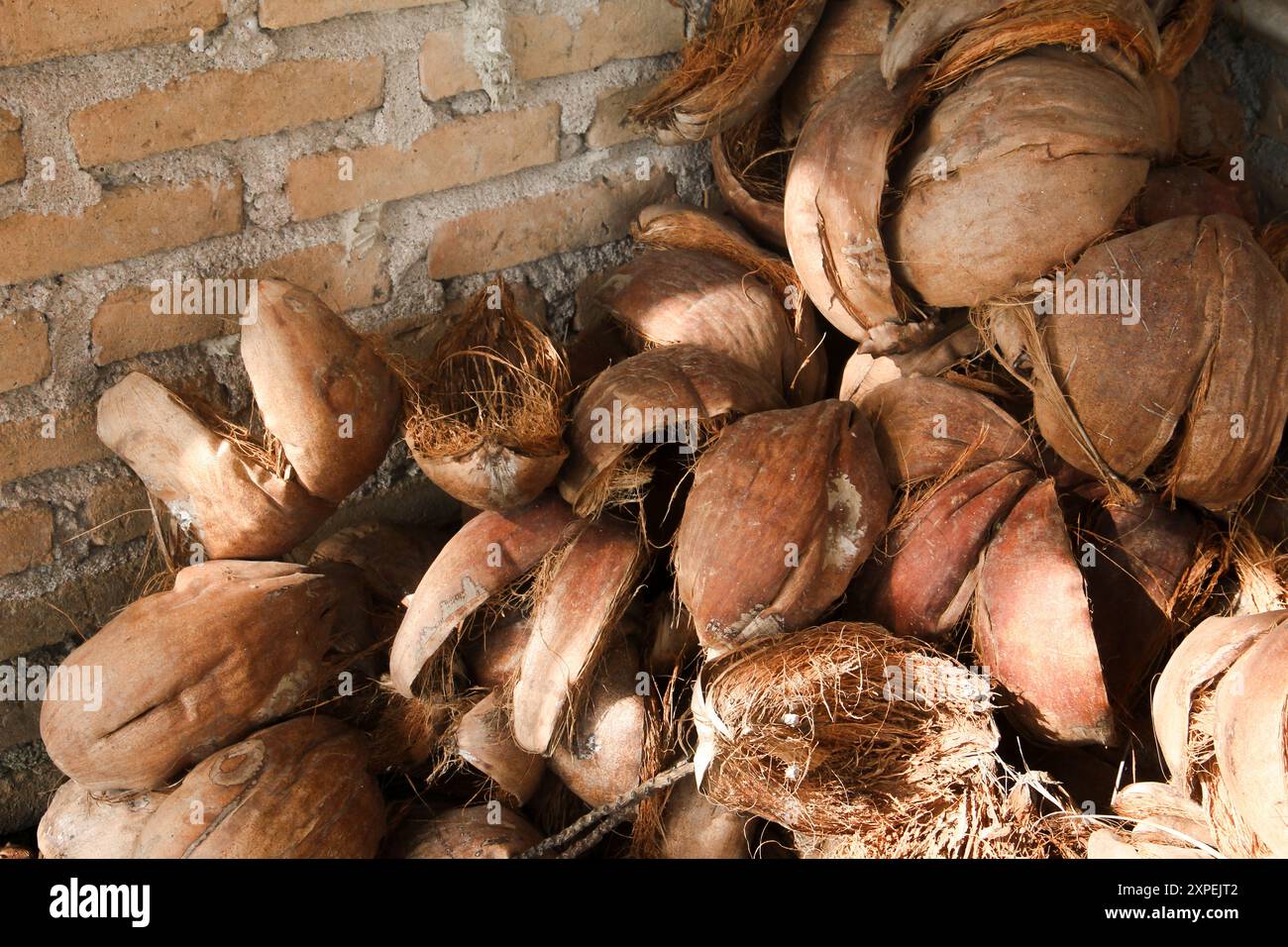 Dried coconut fiber which can be used as raw material for crafts or ...