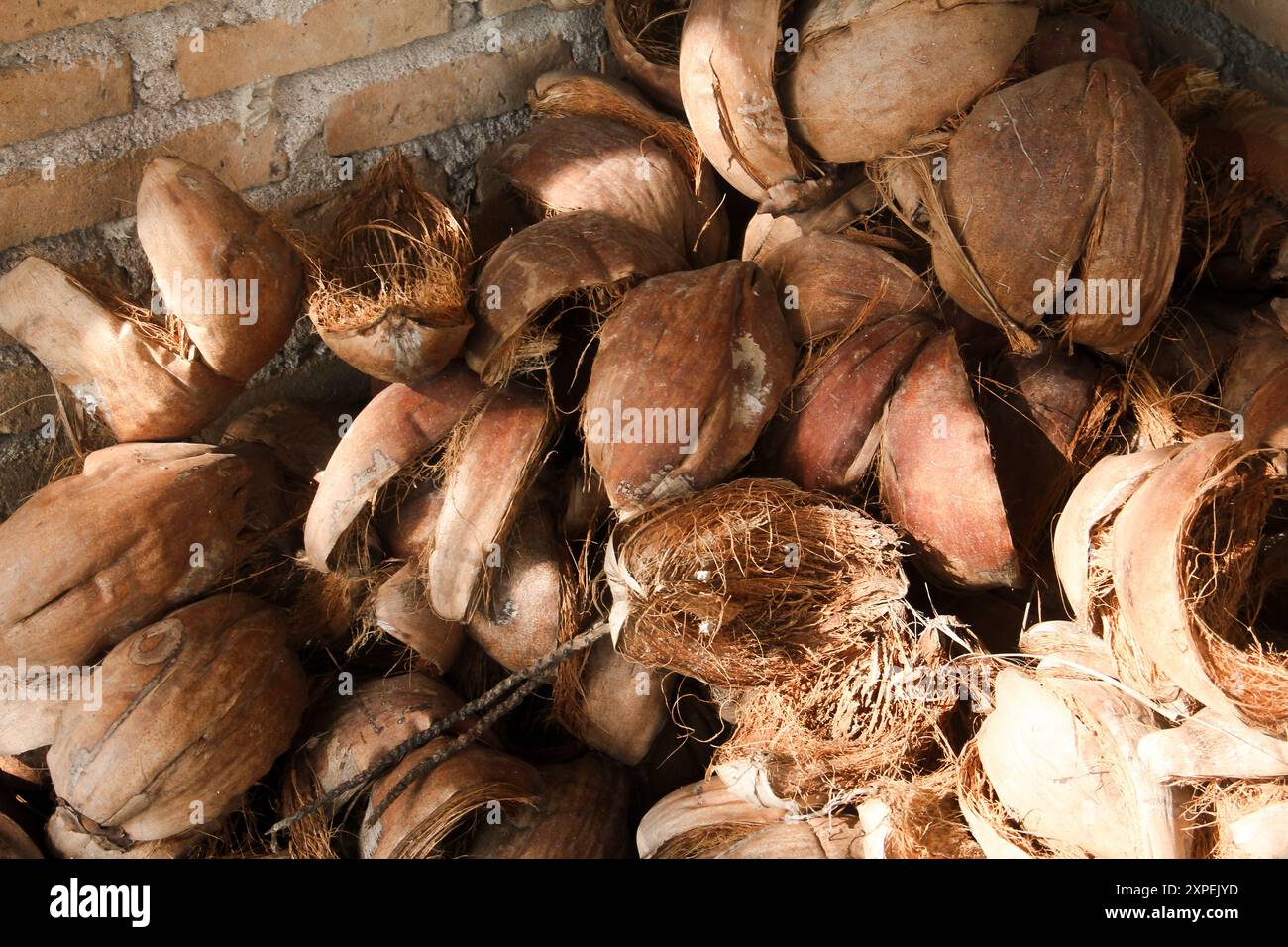 Dried coconut fiber which can be used as raw material for crafts or ...