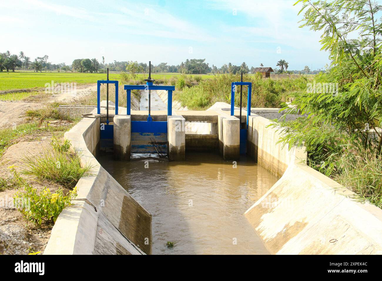 Irrigation Canals that irrigate rice fields in rural areas Stock Photo ...
